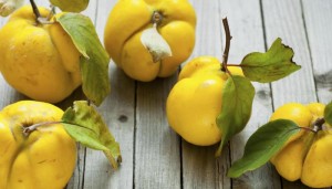 Beneficios y contraindicaciones de la carqueja (chirca melosa)