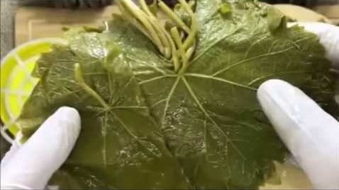 Hoja de parra contraindicaciones (para adelgazar te de hoja de parra)
